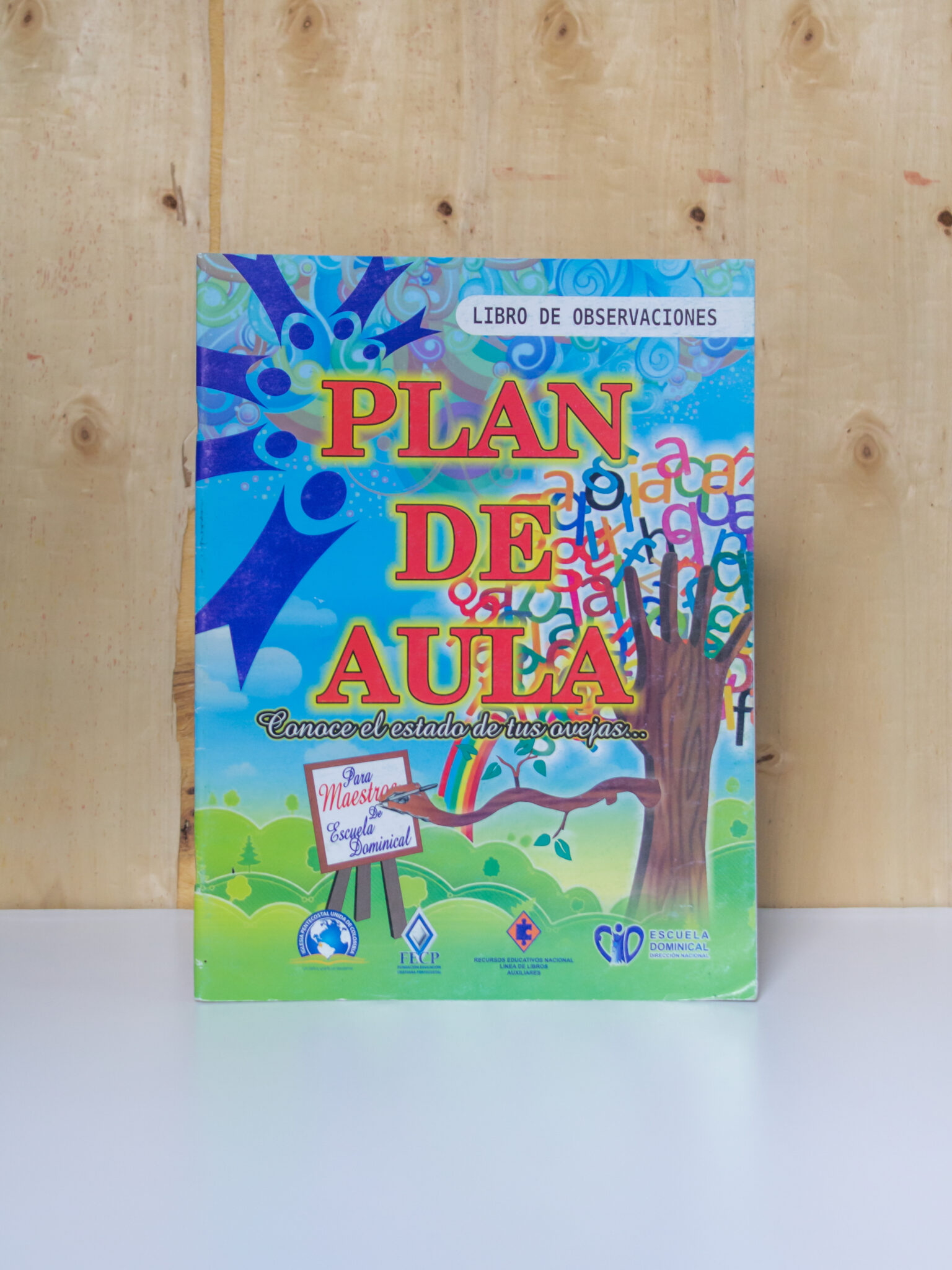 PLAN DE AULA: OBSERVACIONES | TIENDA FECP